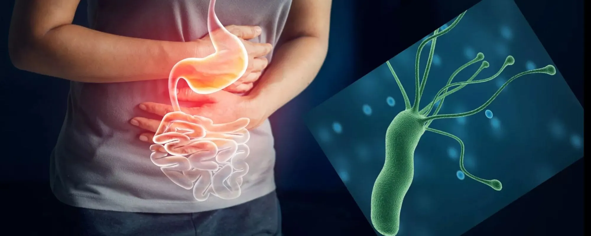 Eλικοβακτηρίδιο του πυλωρού ( Helicobacter pylori ) - Dailypharmanews
